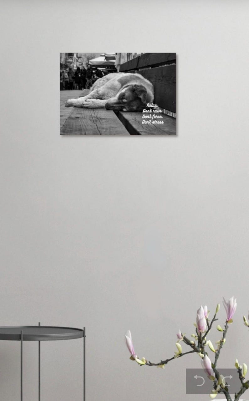 Black and White Dog Poster A3 and 8x10", Paper, Inspirational Wall Art ...