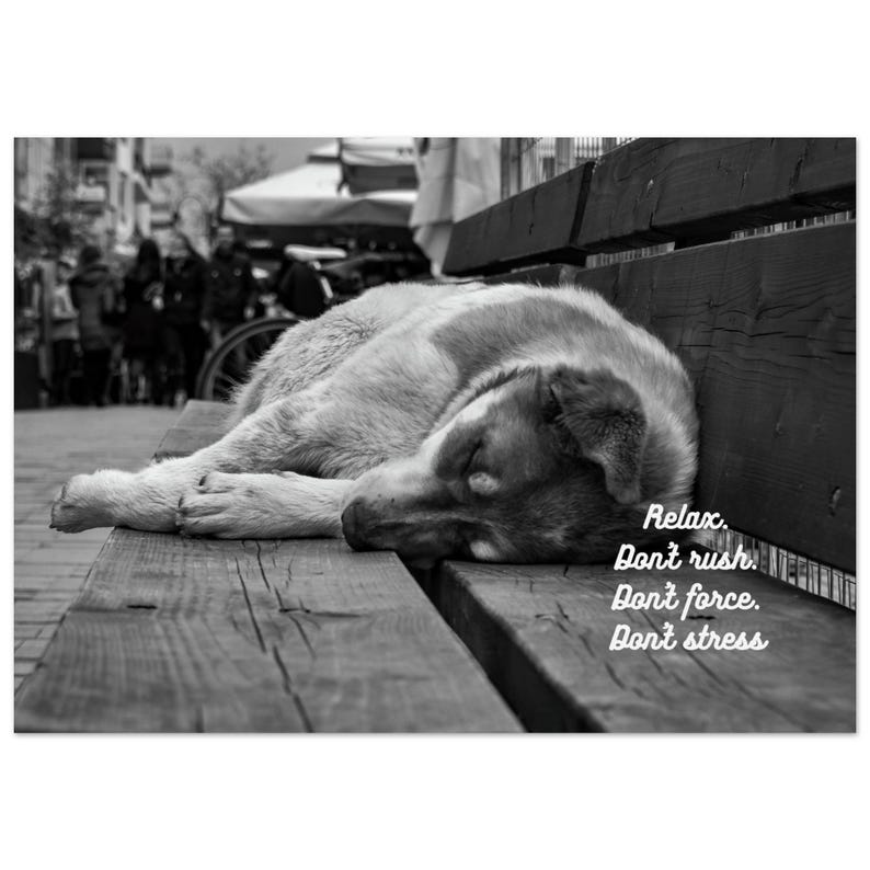 Black and White Dog Poster A3 and 8x10", Paper, Inspirational Wall Art ...