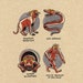Famous Cryptids of New York Print - Etsy