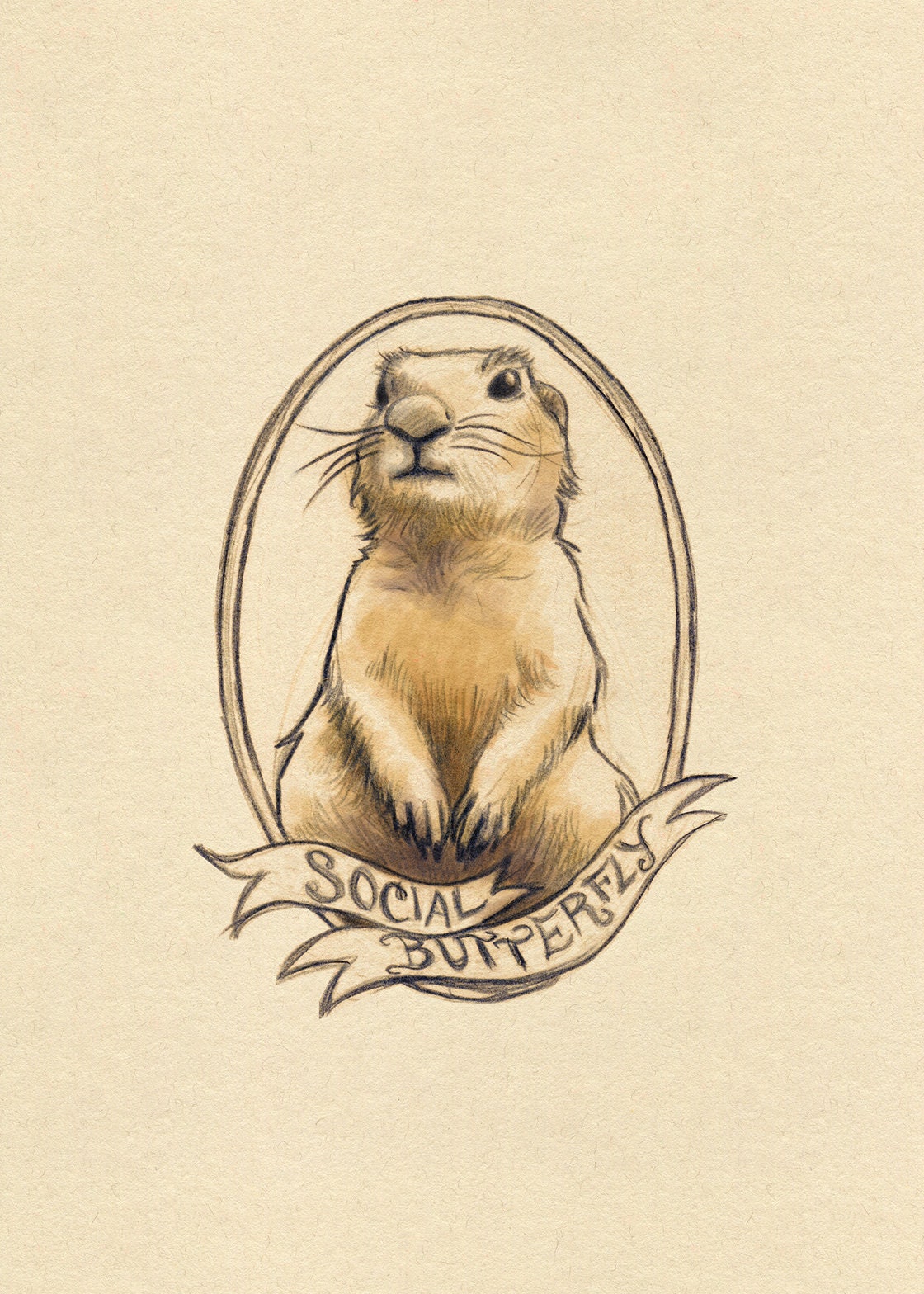 Prairie Dog Drawing Step By Step