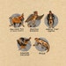 Famous Cryptids of Wisconsin Print - Etsy