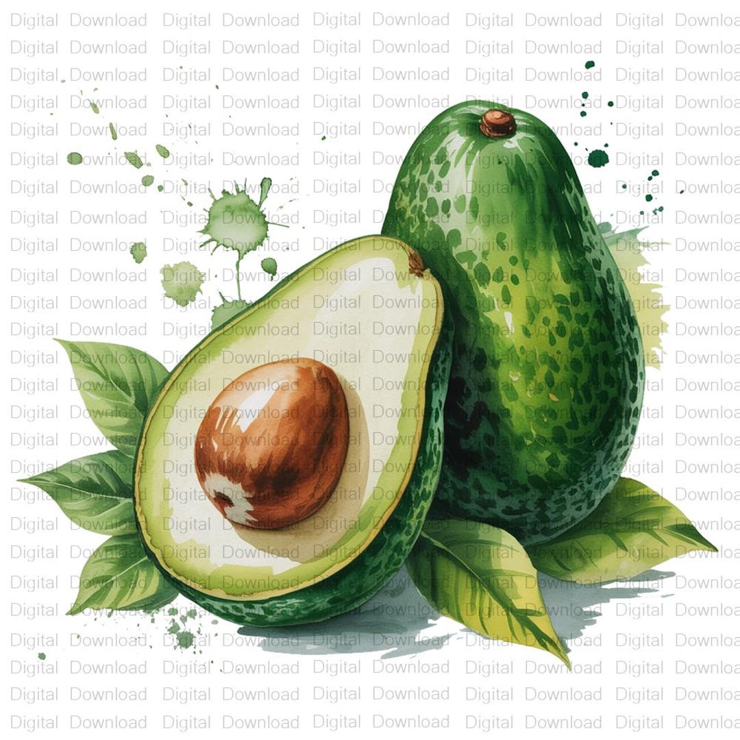 Watercolor Avocado Clipart Bundle, Tropical Fruit PNG (digital Download ...