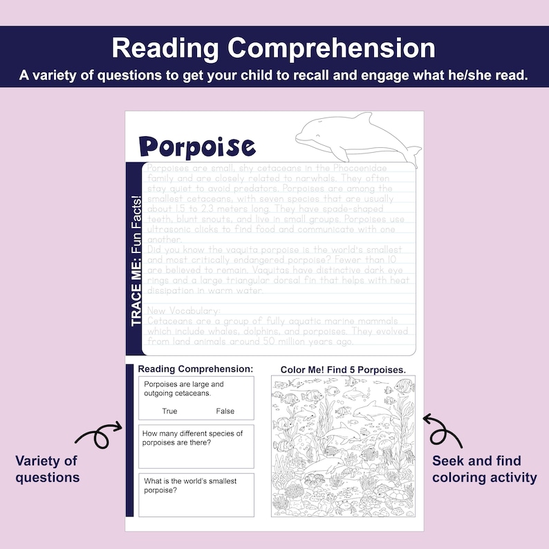 Reading Comprehension Marine Mammals | for Grade 1-2 | Practice Writing ...