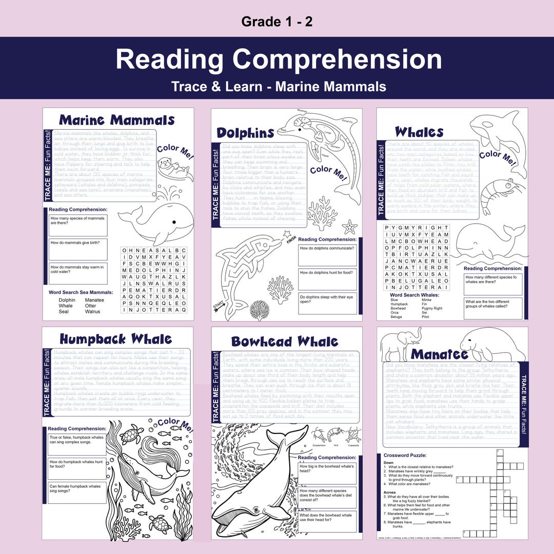Reading Comprehension Marine Mammals | for Grade 1-2 | Practice Writing ...