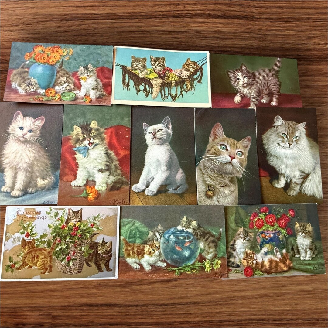 Antique Kittens and Cats Postcards Signed by Artists Set of 11 - Etsy