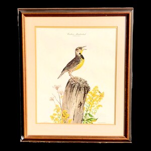 Eastern Meadowlark Lithograph Print by Don Whitlatch sturnella Magna ...