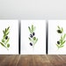 Olive Branch Print Set of 3 Kitchen Decor Watercolor Olive | Etsy