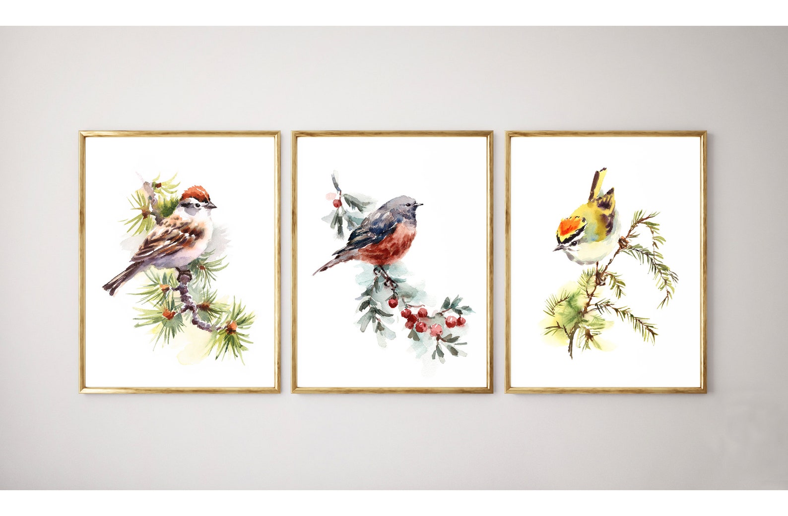 Bird Print Set 3 Watercolor Bird Art Set Bird Art Prints - Etsy