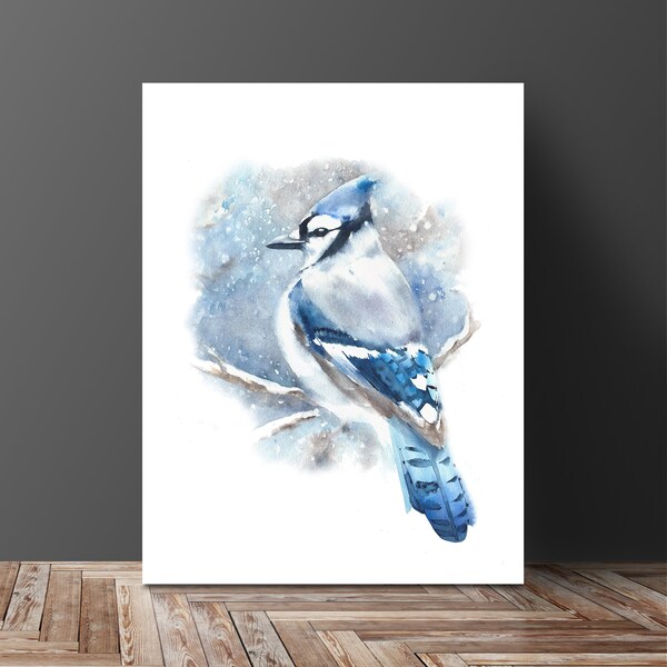 Blue Jay Print - Etsy