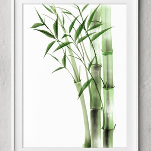 Bamboo Wall Art Print Set of 2, Zen Decor, Zen Wall Art, Botanical ...