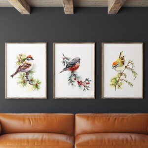 Bird Print Set 3 Watercolor Bird Art Set Bird Art Prints - Etsy