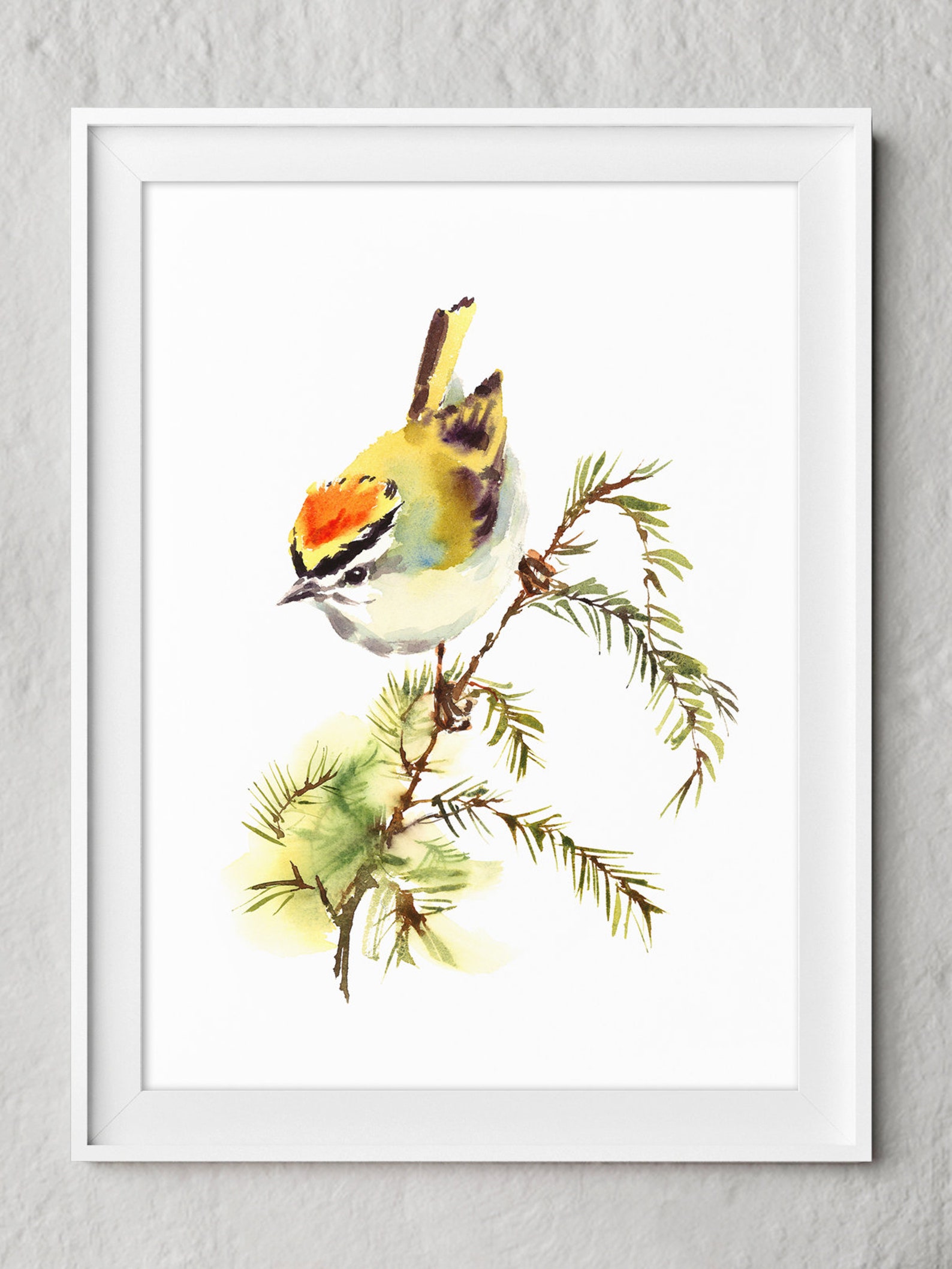 Bird Print Set 3 Watercolor Bird Art Set Bird Art Prints - Etsy