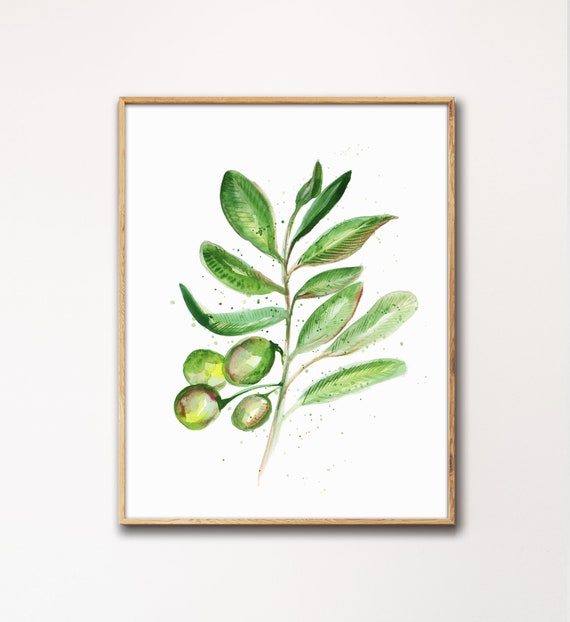 Olive Branch Painting Abstract Watercolor Olive Branch Print | Etsy