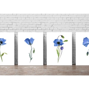 Blue Flowers Print Set of 4 Blue Poppy Wall Art Poppies - Etsy