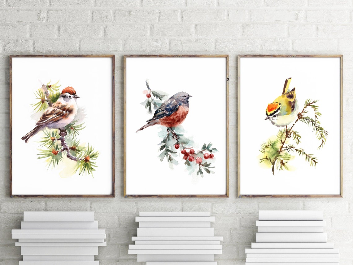 Bird Print Set 3 Watercolor Bird Art Set Bird Art Prints - Etsy
