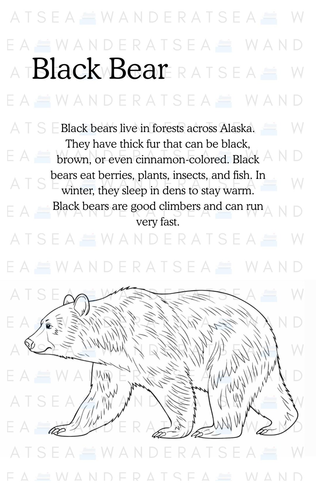 Black Bear Coloring Page - Etsy
