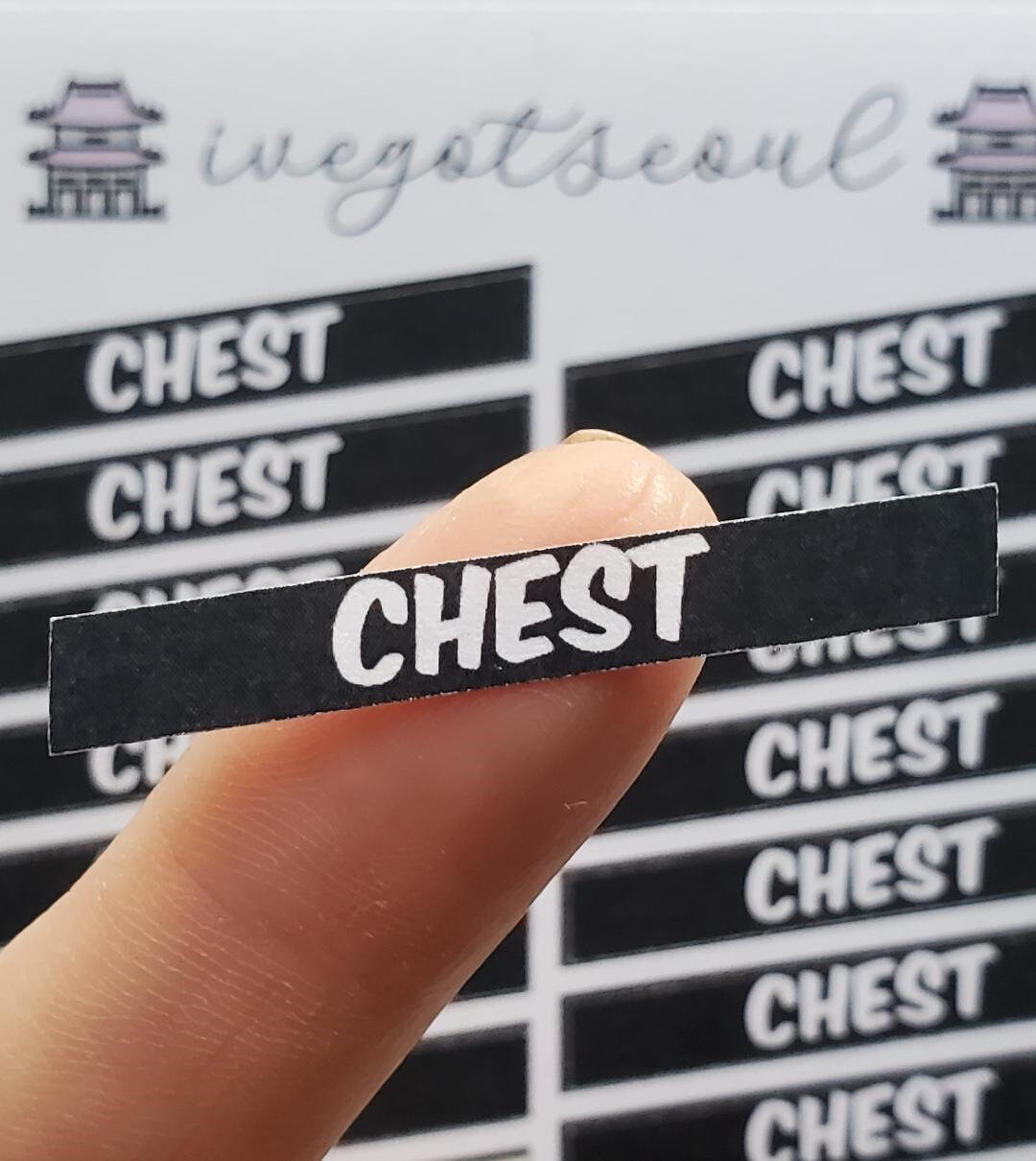 Planner Sticker | Chest - Etsy