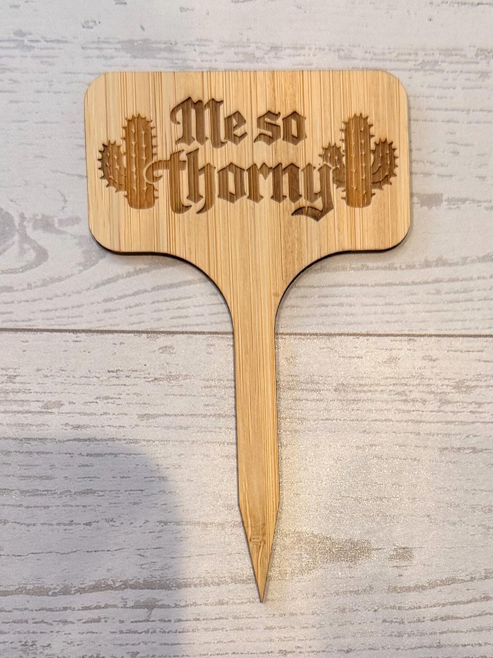 Engraved Sassy Plant Signs/stakes - Etsy