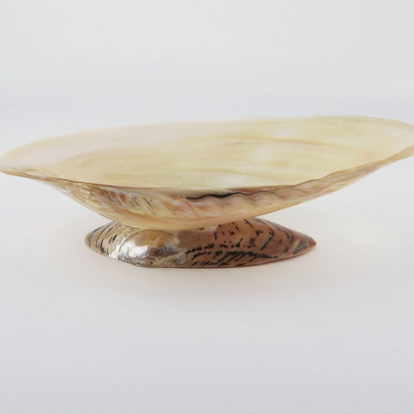 Seashell Jewelry - Etsy