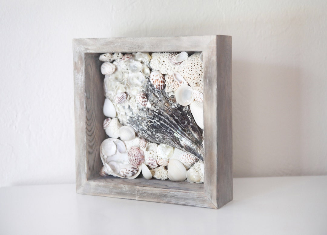 Beach Decor Shells From Gulf of Mexico Driftwood Frame by SEASTYLE - Etsy