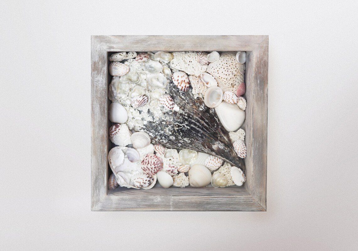 Beach Decor Shells From Gulf of Mexico Driftwood Frame by SEASTYLE - Etsy