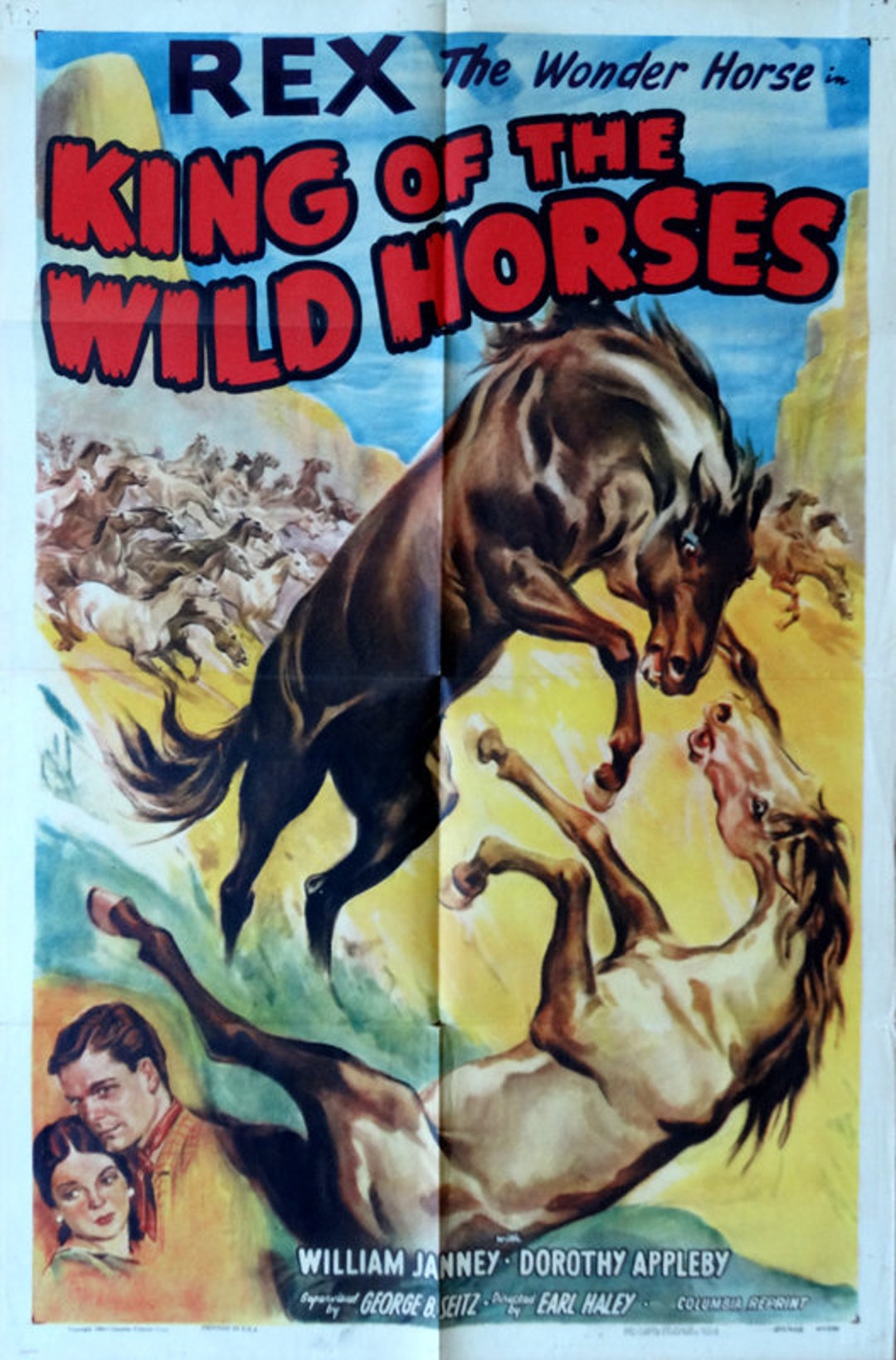 Rex: King of the Wild Horses. 1950 Original US 27" X 41" Theater Movie ...