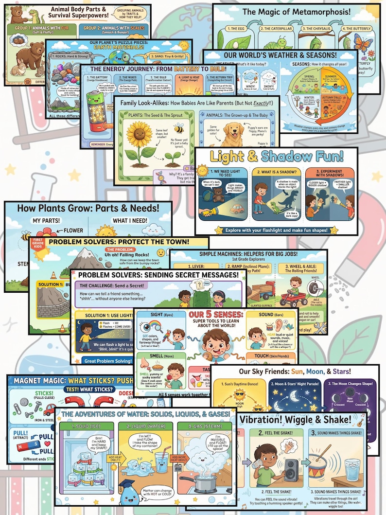 First Grade Science Posters | Homeschool Learning, Set of 16 (digital ...