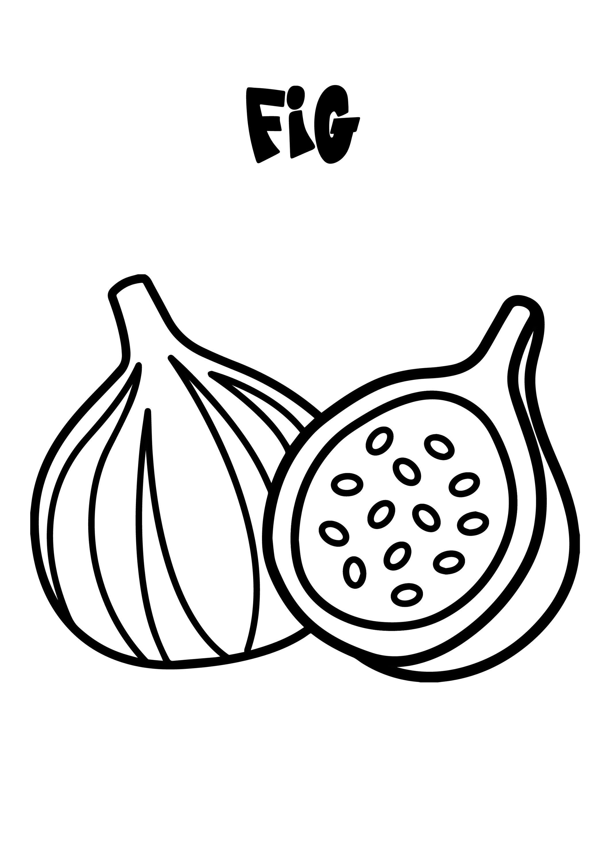 Learn to Draw Fruits for Kids Printable PDF – Step-by-step Fruit ...