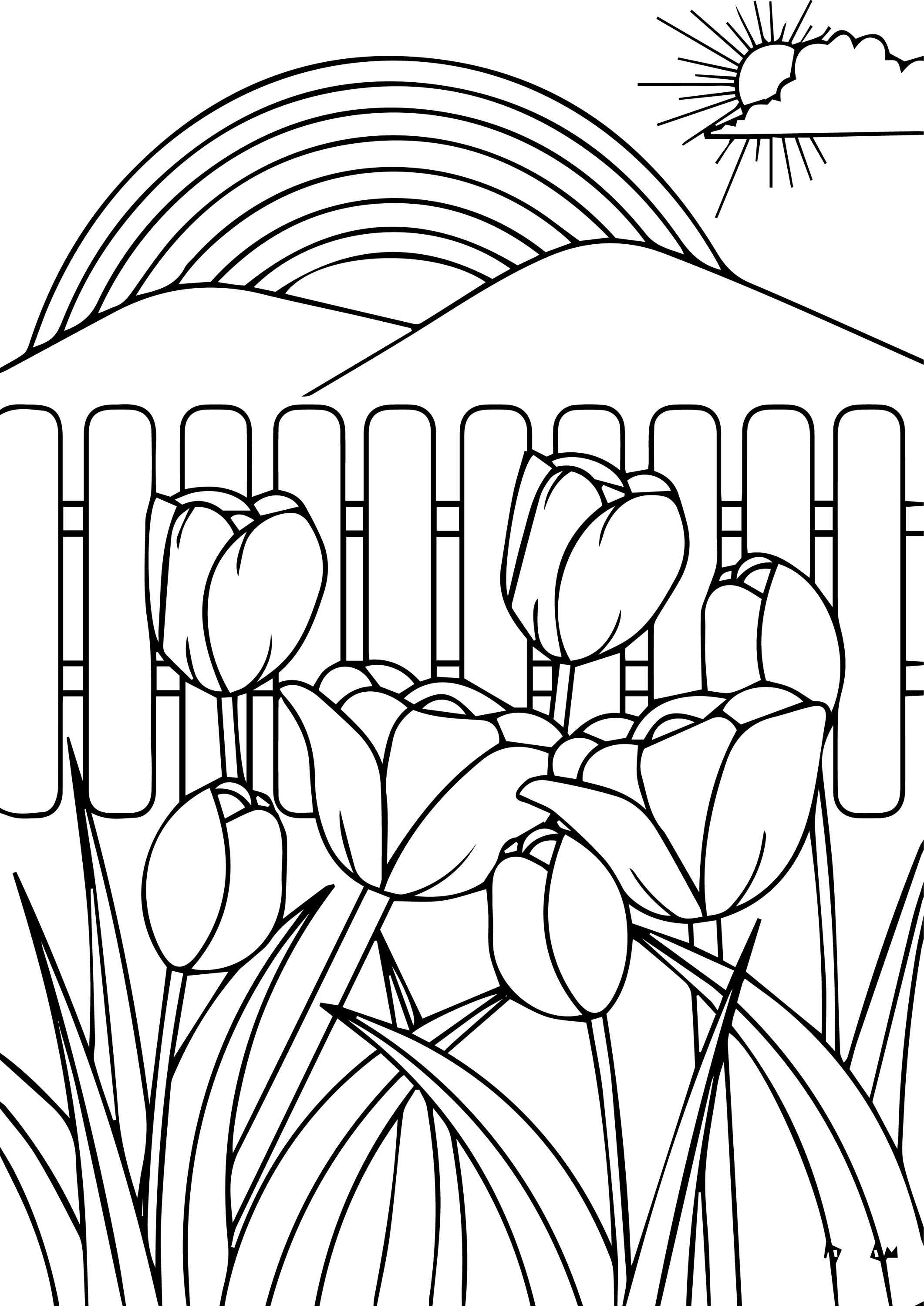 Learn to Draw Nature for Kids – Printable PDF Drawing Book | Step-by ...