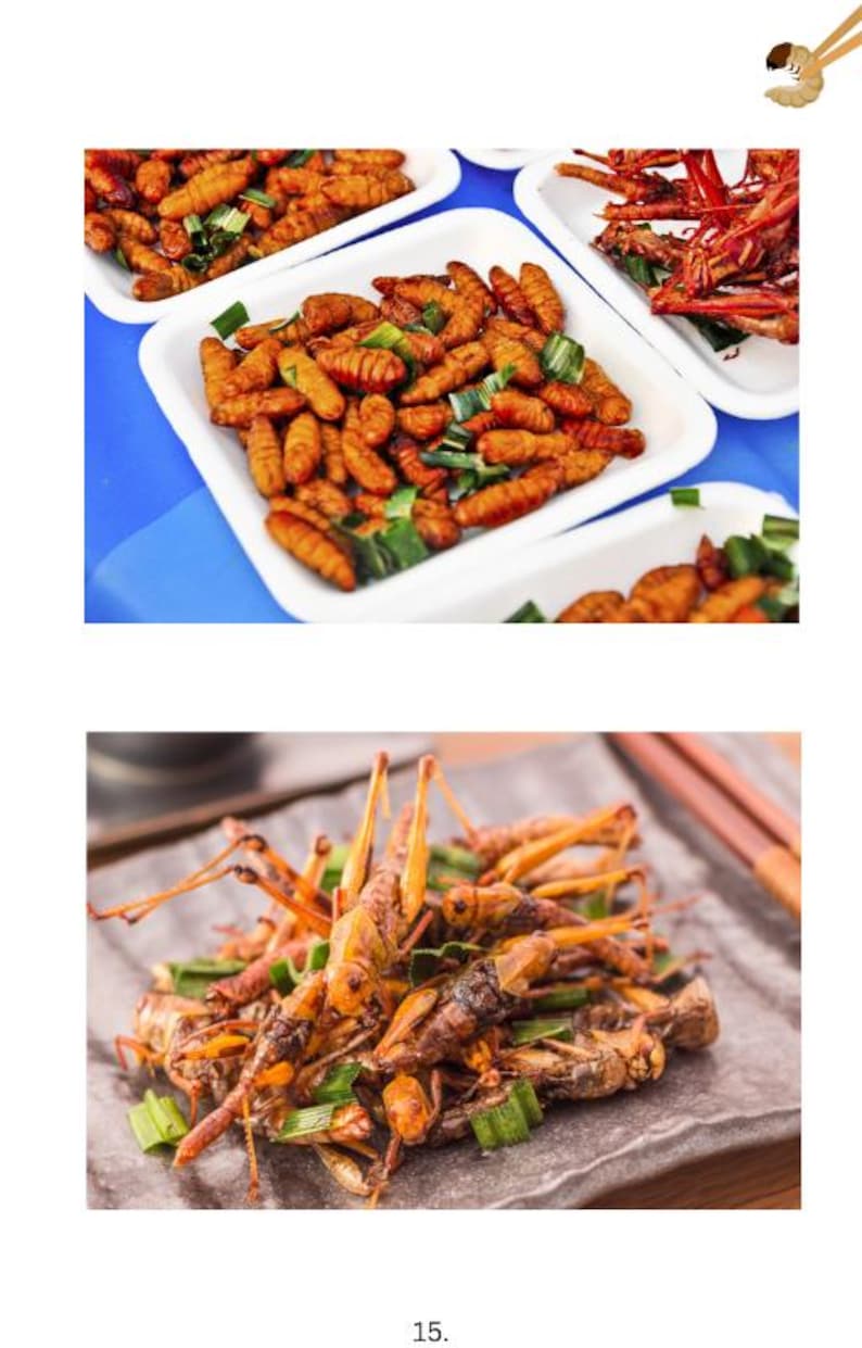 Edible Insects Essential Guide - Beginner Entomophagy Ebook ...