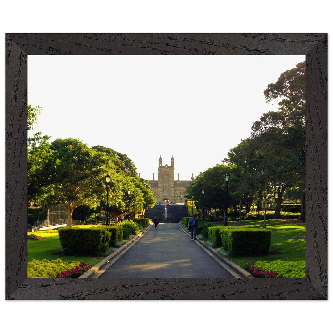 Historic University Walkway Photography Print, Garden Campus ...