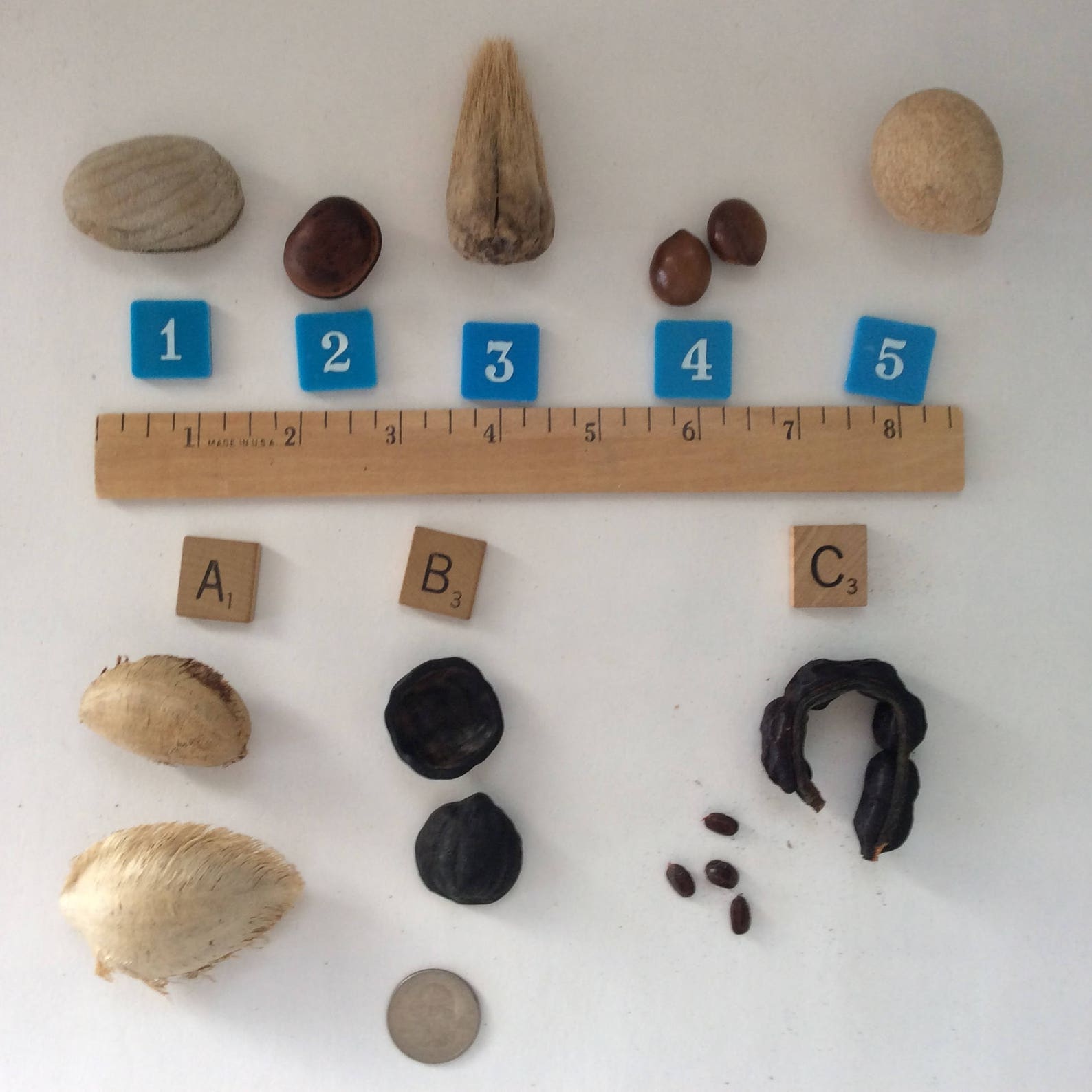 Drift Seeds Drift Fruit Sample Assortment 15 Hawaiian Etsy drift-seeds-drift-fruit-sample-assortment-15-hawaiian-etsy