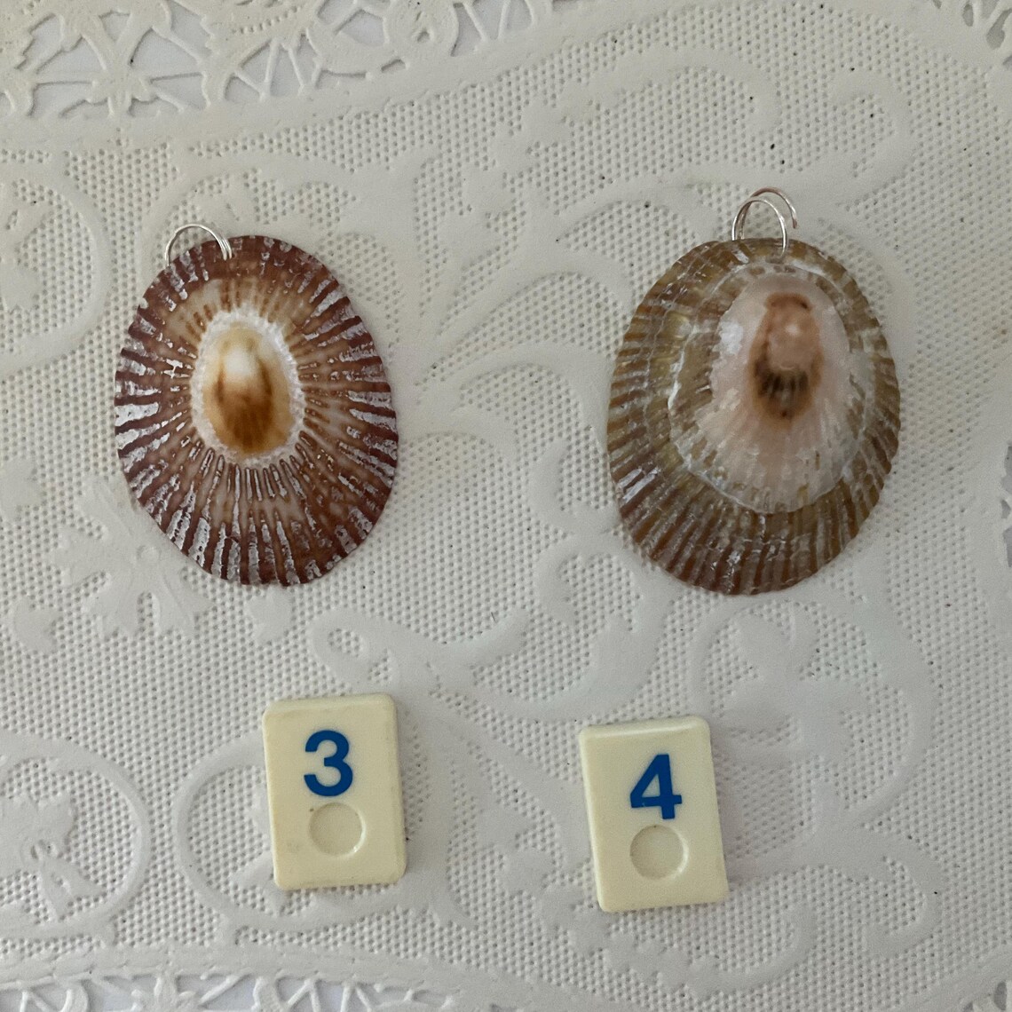 Opihi Shell - Pendant - Limpet Shell - Polished - Hawaii - Etsy