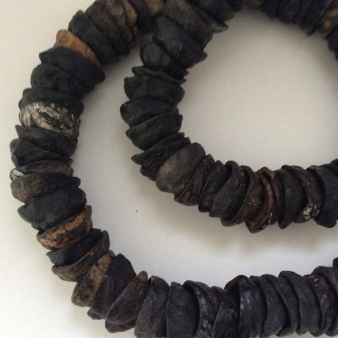 Kukui Nut Lei - Half Pieces - Hawaiian Lei - All Natural - Unpolished ...