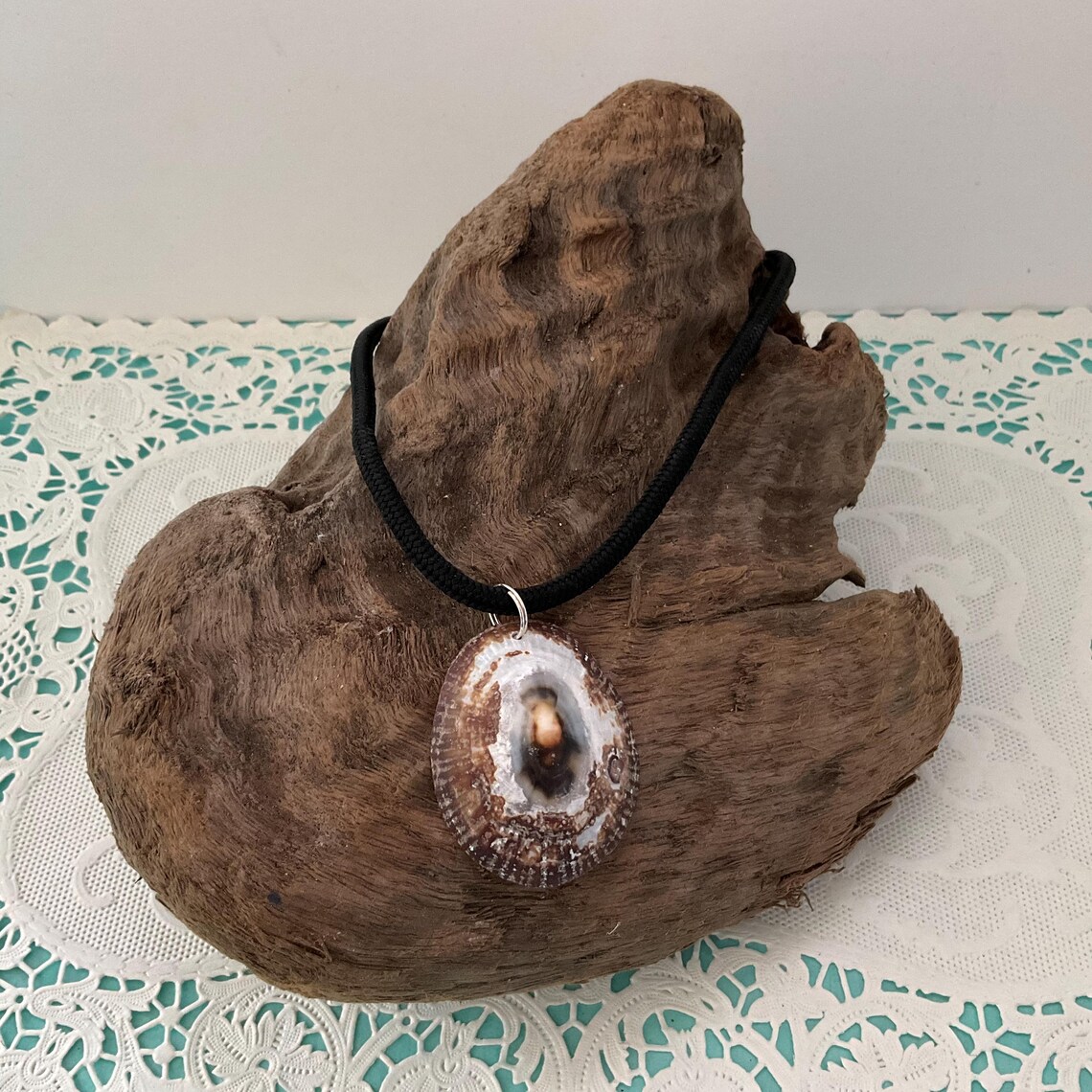 Opihi Shell - Pendant - Limpet Shell - Polished - Hawaii - Etsy
