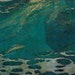 Howard Pyle "the Mermaid" 1910 an Unpublished Work Recovered Vintage ...