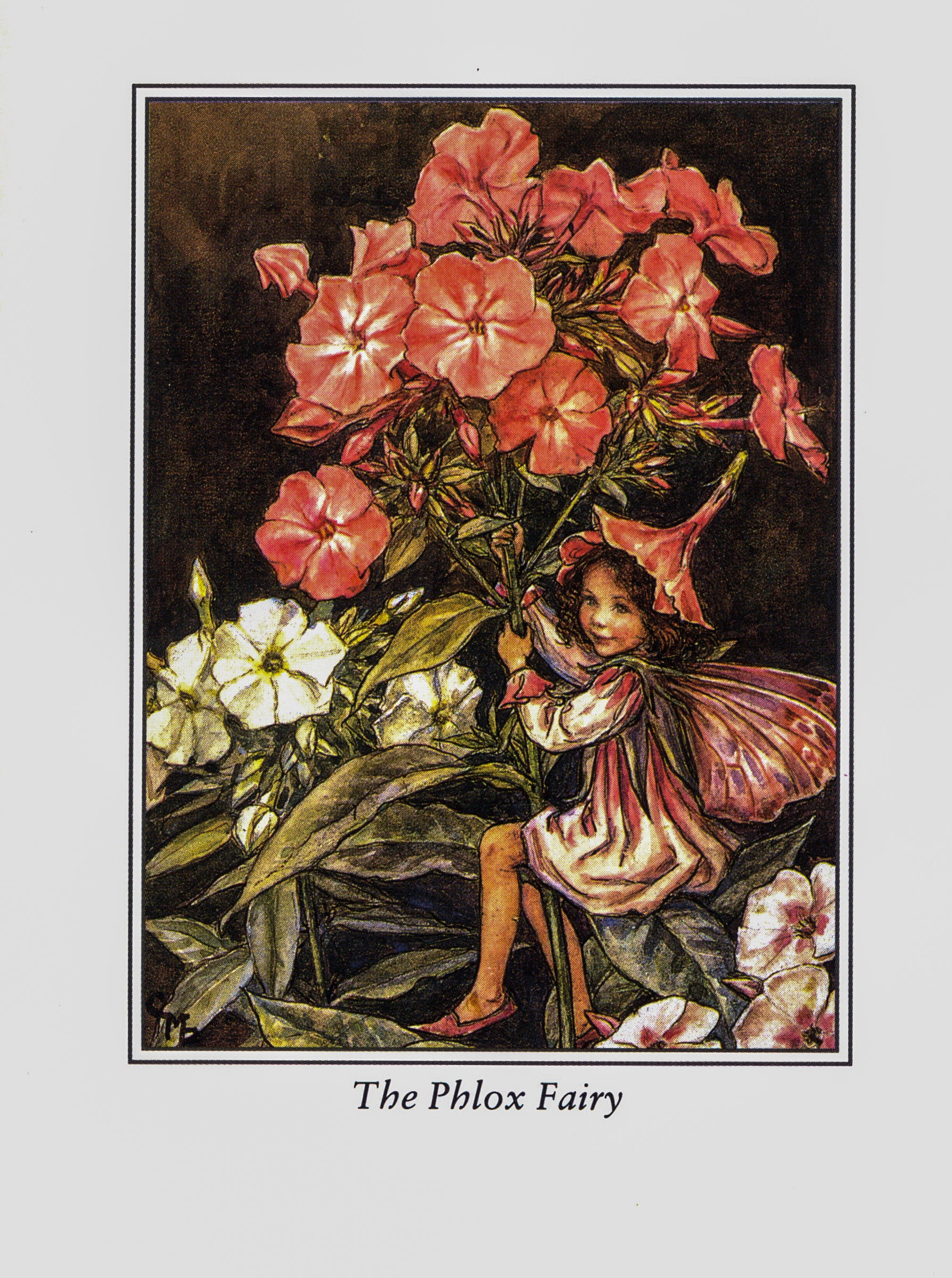 1944 Flower Fairies of the Garden Cicely Mary Barker The Geranium Fairy ...