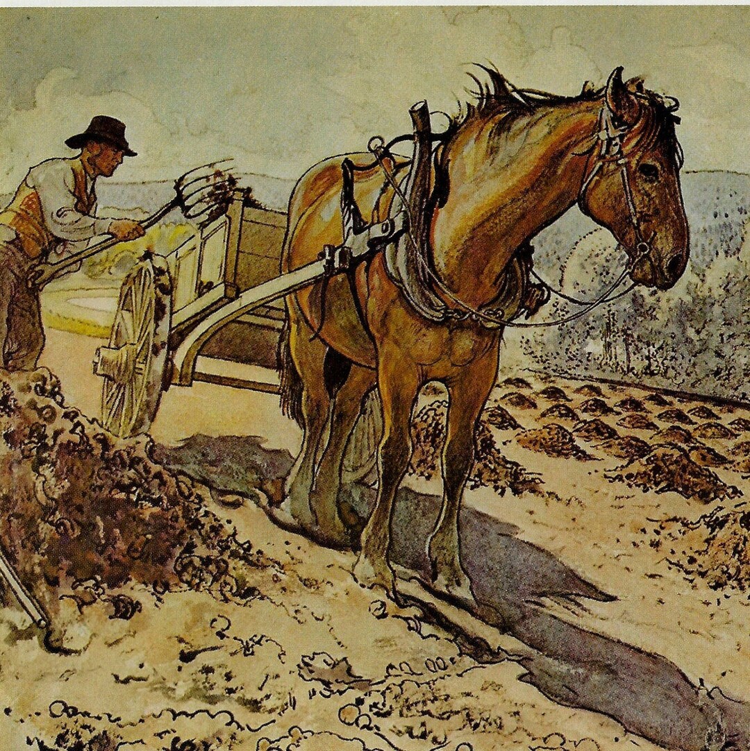 Muck Raking 1905 Carl Larsson Vintage Art Book Page - Etsy