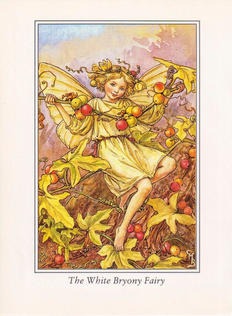 The White Bryony And The Hazel Nut Fairy Cicely Mary Barker Etsy