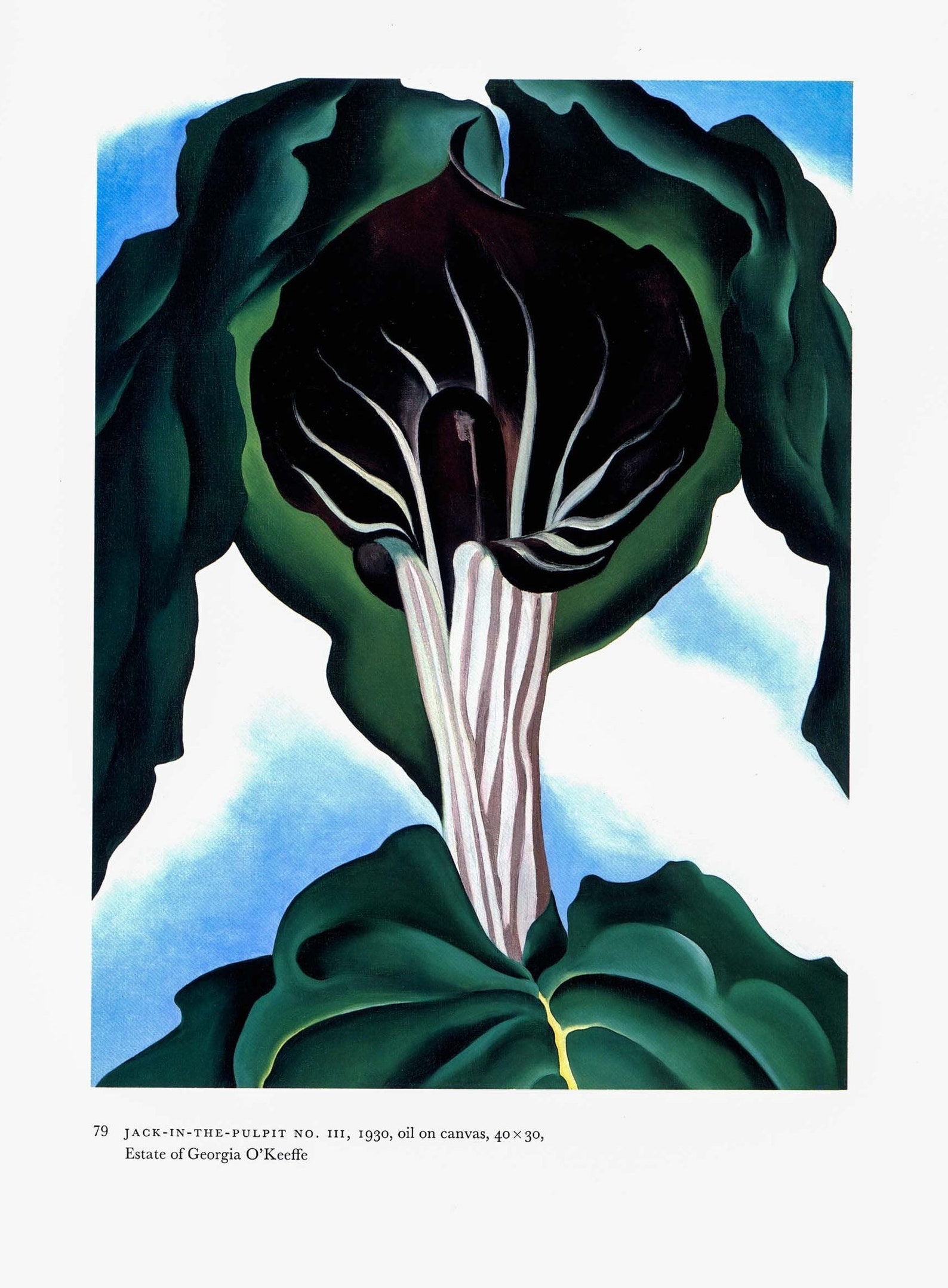 Georgia O'keeffe Vintage Art Book Page 1930 jack - Etsy