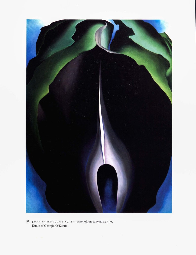 Georgia O'keeffe Vintage Art Book Page 1930 jack - Etsy