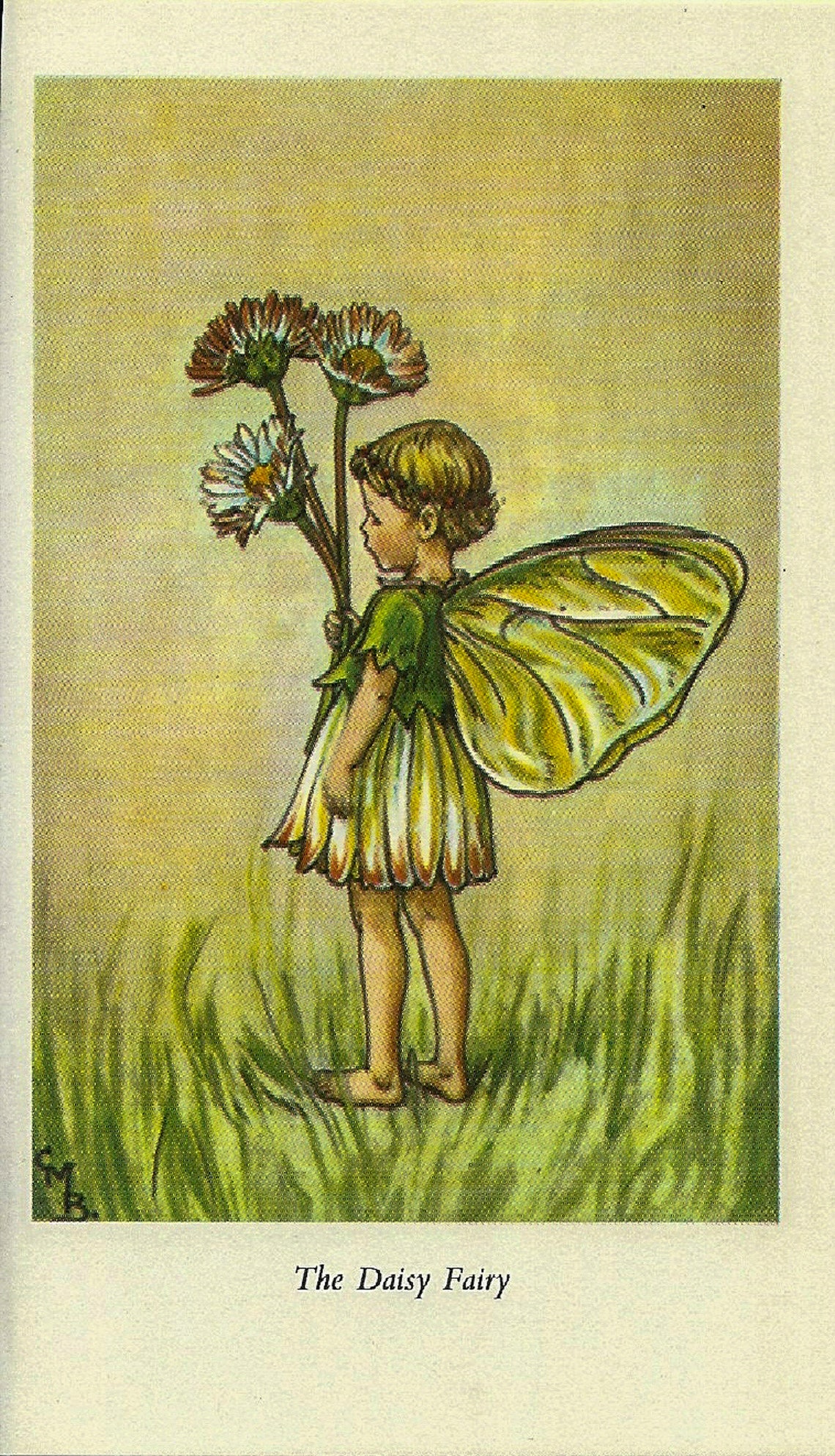 The Daisy Fairy Cicely Mary Barker Flower Fairies of the - Etsy