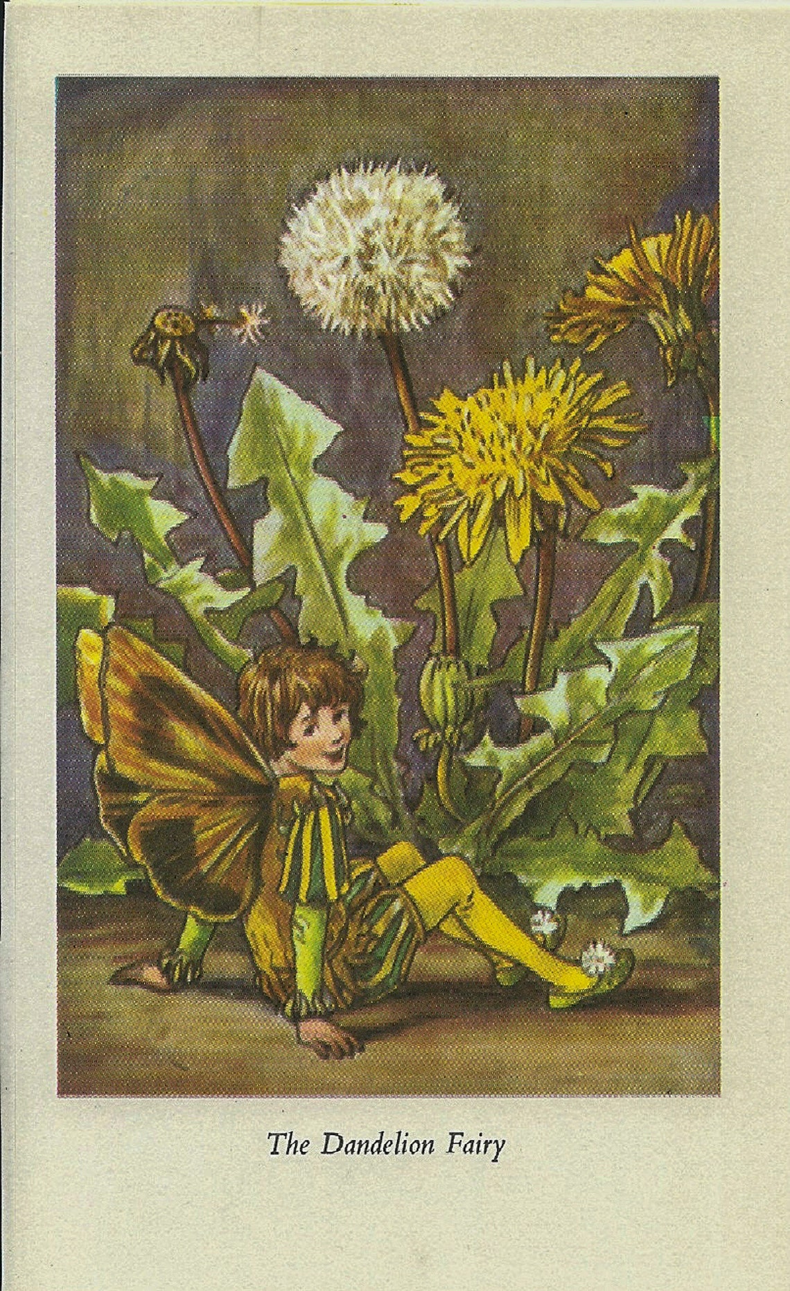 The Dandelion Fairy Cicely Mary Barker Flower Fairies of the - Etsy