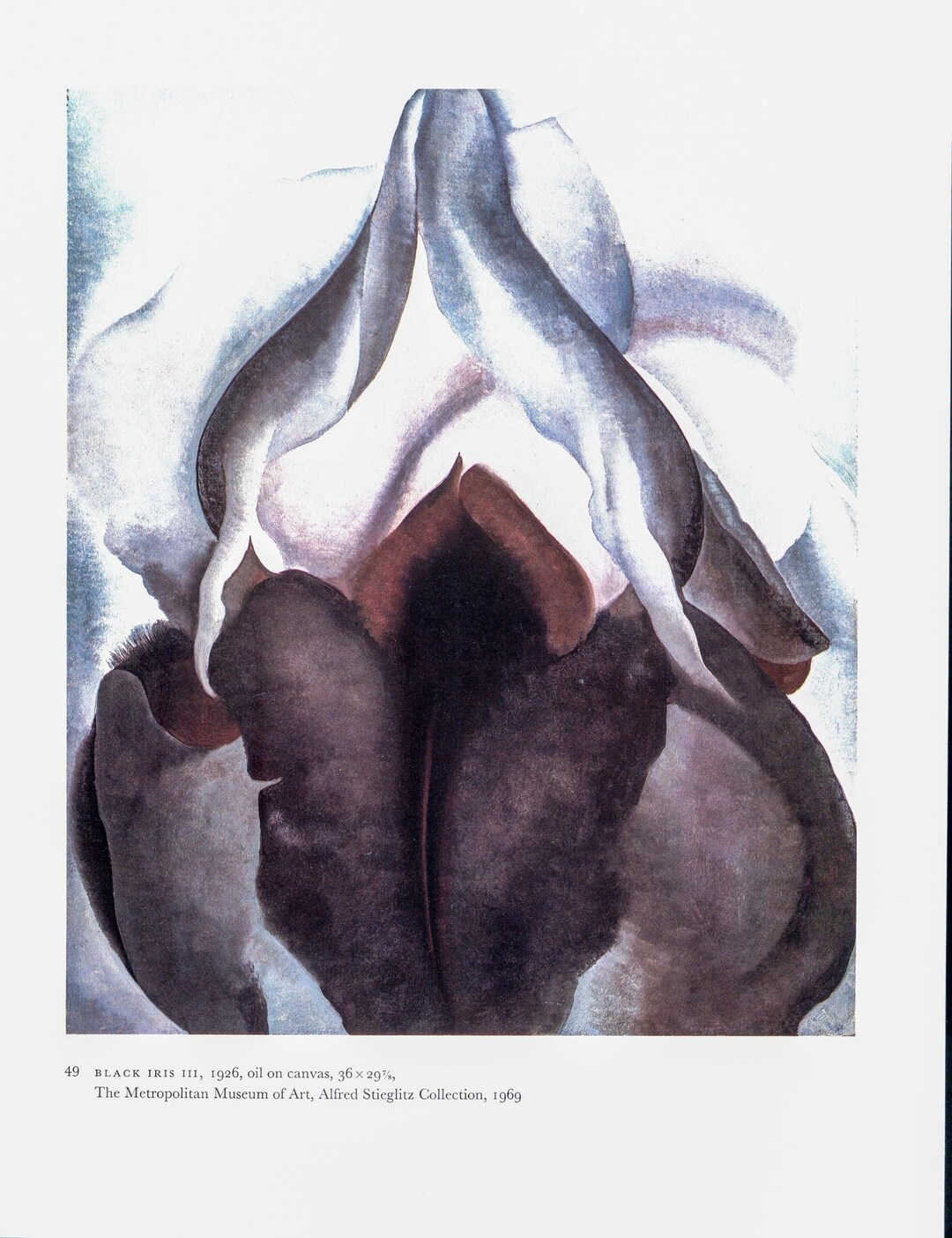Georgia O'keeffe Vintage Art Book Page 1926 "black Iris III / White ...