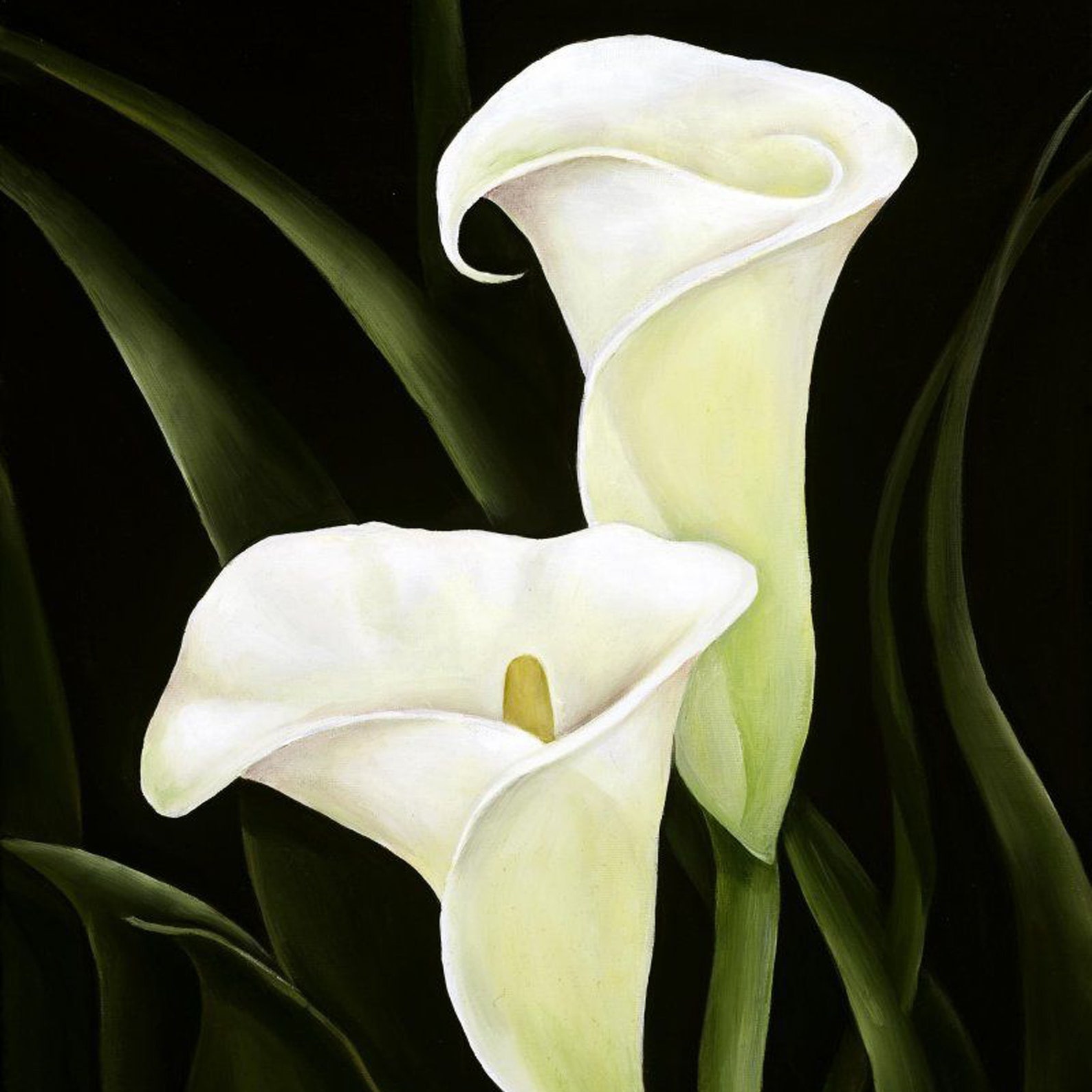 Modern Abstract Calla Lily Swirl Tear Drop Dangle Earrings - Etsy