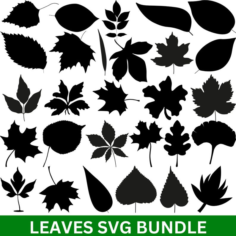 Autumn Leaves SVG Bundle, Maple PNG, Fall Clipart, Fern Vectors ...