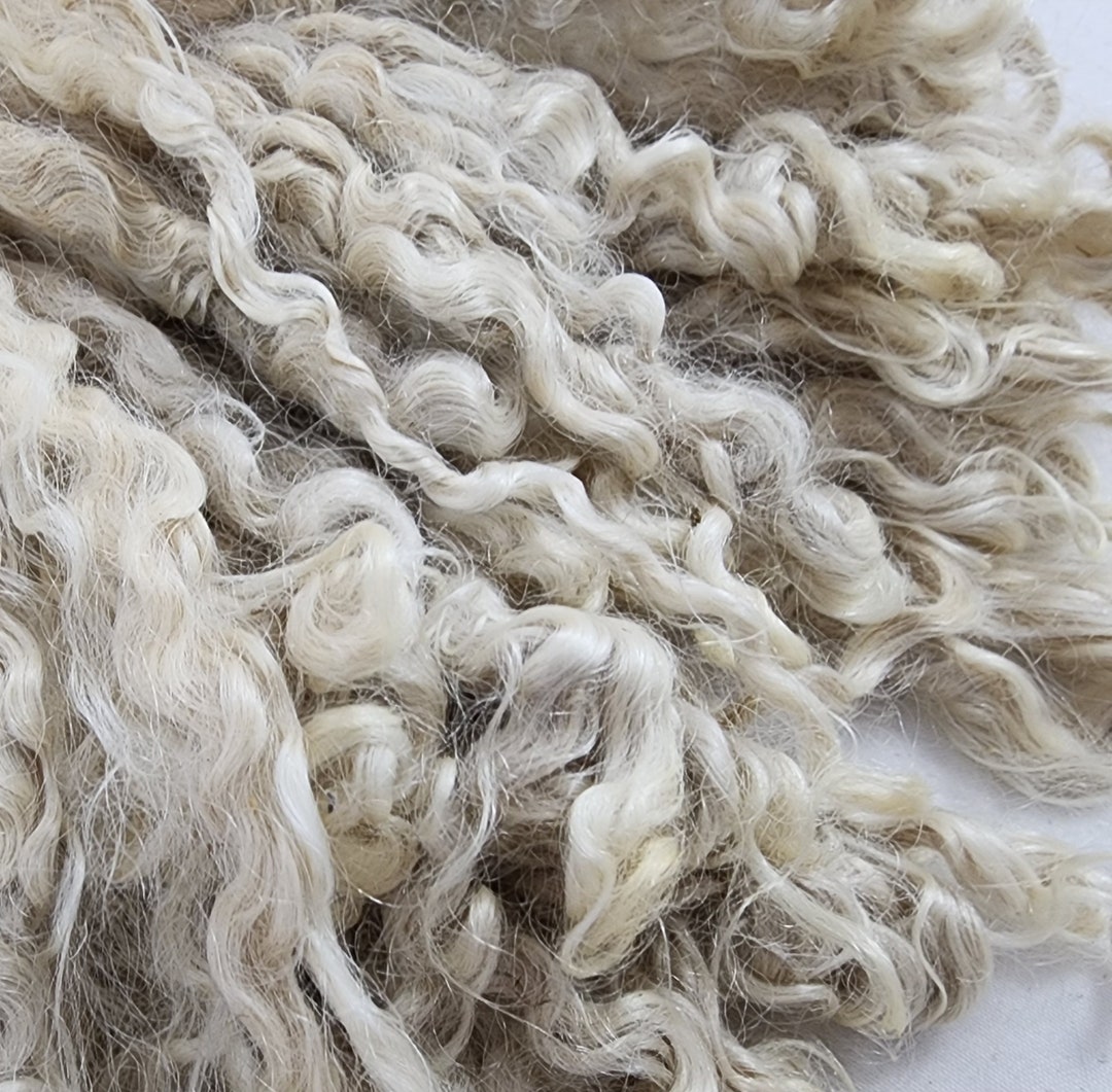 Raw Kid Mohair Locks From Chiffon: 4-5" Staple, Angora Goat Fiber for ...