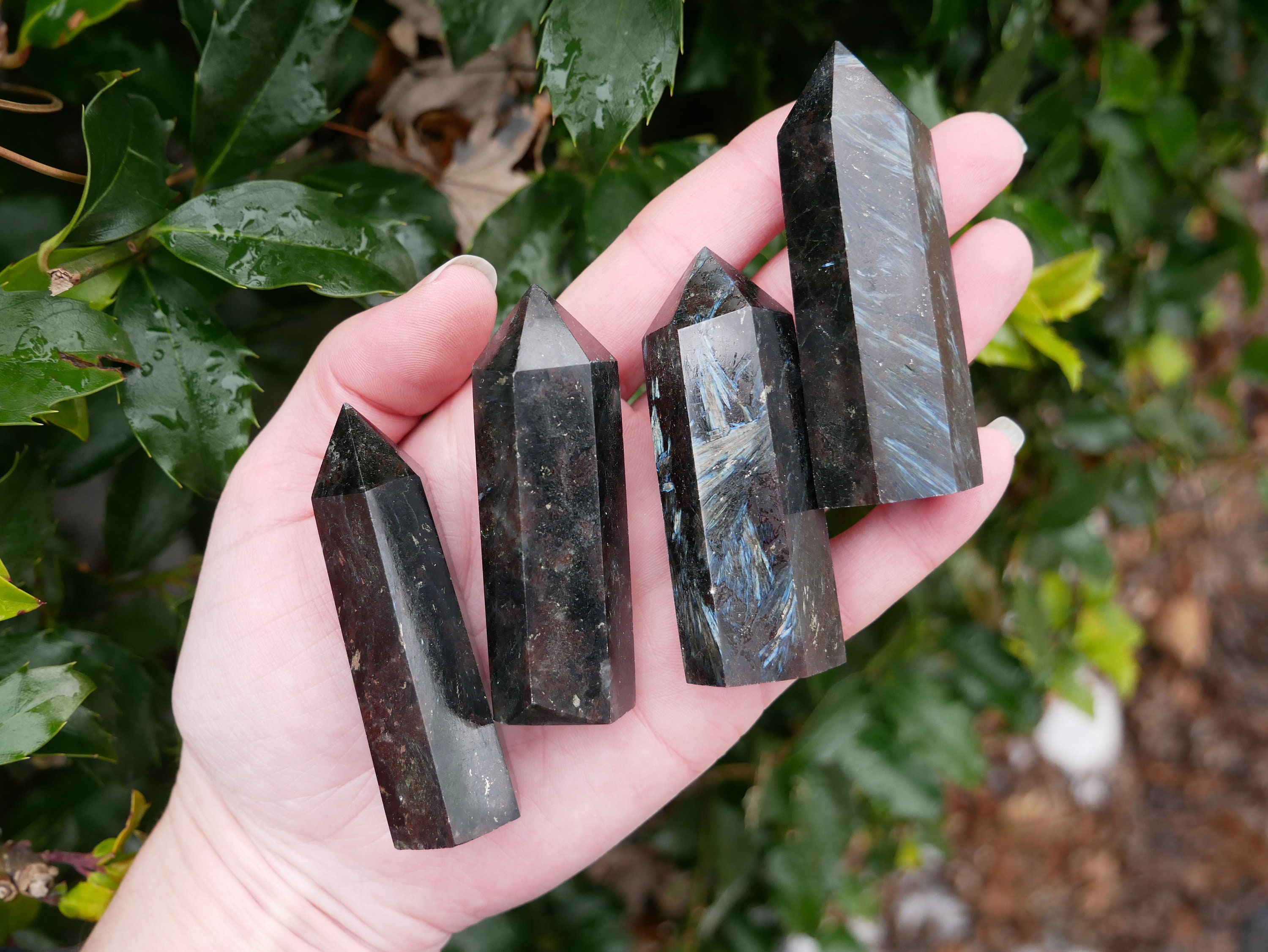Astrophyllite