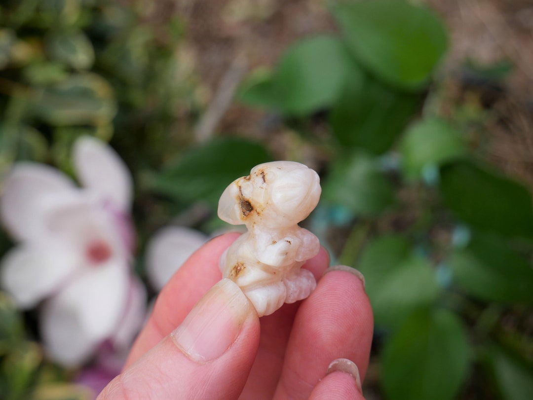 Flower Agate Rabbit Spirit Animals Animal Totems Rabbit Totem Crystal ...