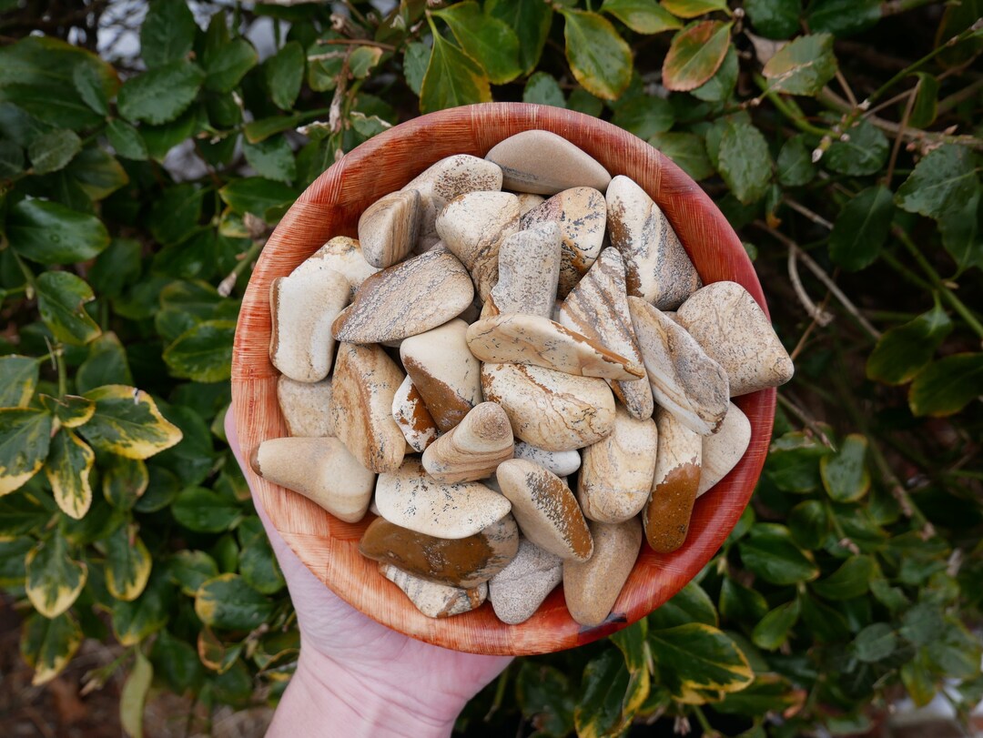 Jasper Polished Stones Tumbled Jasper Polished Tumbled - Etsy